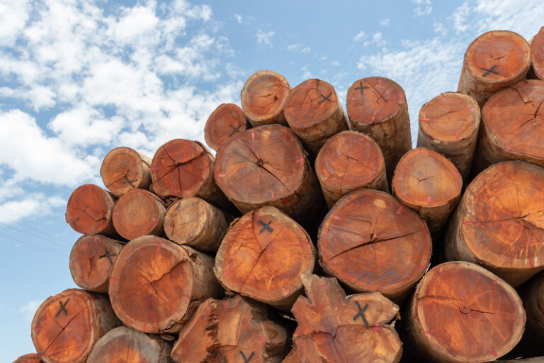 CITES Developments and Their Impact on Ipe and Other Tropical Hardwood ...