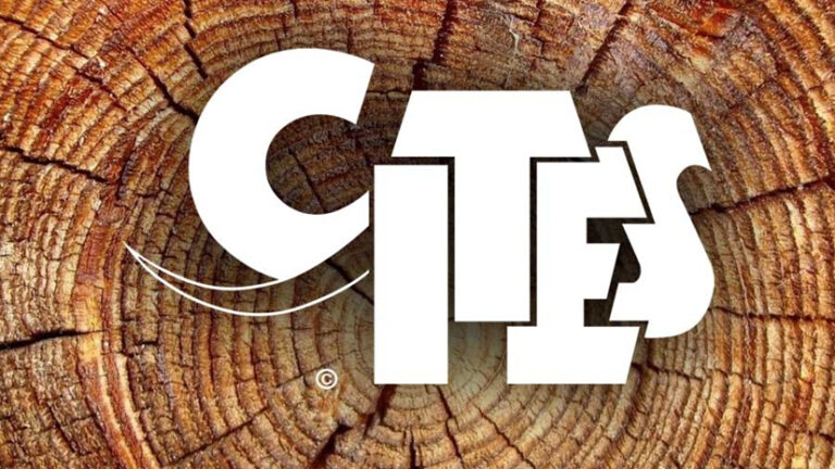 CITES Developments and Their Impact on Ipe and Other Tropical Hardwood ...